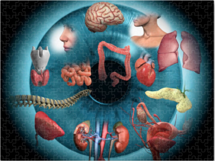 QUANTUM HEALING CLUB – GOD'S MEDICNE: TRANSFORM YOUR HEALTH NATURALLY